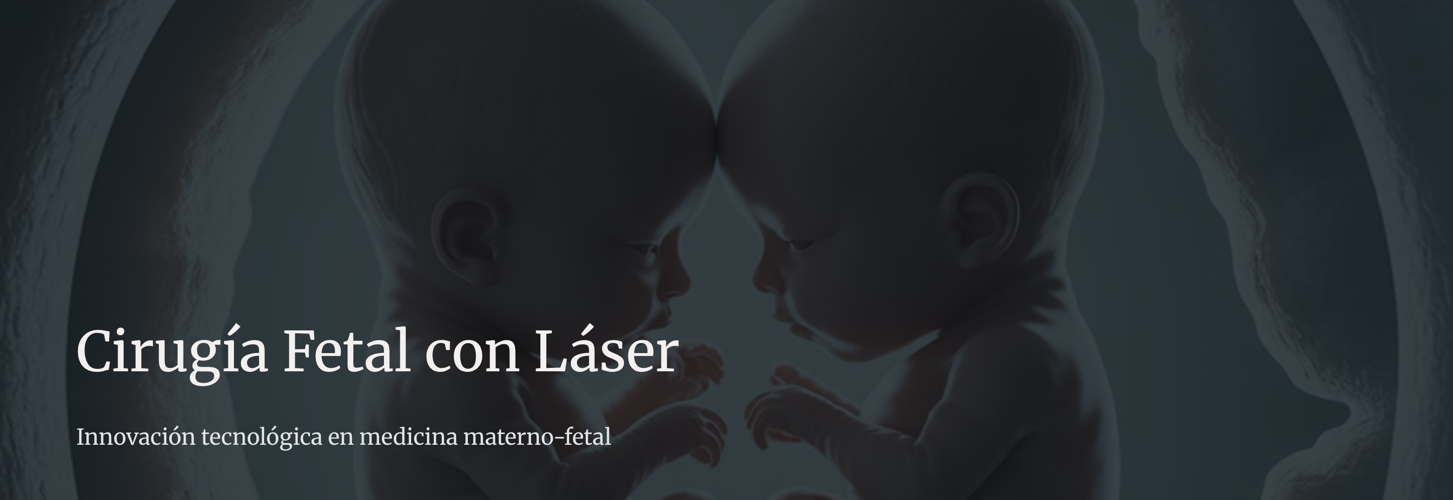 Cirugia fetal con laser - LasersLux | Equipos Laser